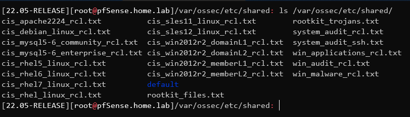 pfSense wazuh agent doesn't collect local log file · Issue #14539 · wazuh/wazuh · GitHub