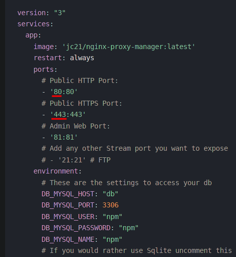 Ports · Issue #508 · NginxProxyManager/nginx-proxy-manager · GitHub