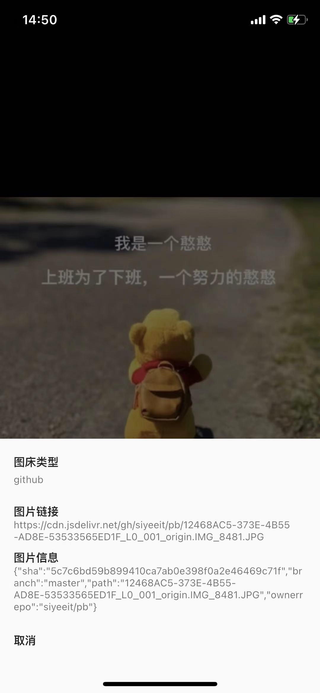 一点建议 · Issue #21 · PicGo/flutter-picgo · GitHub