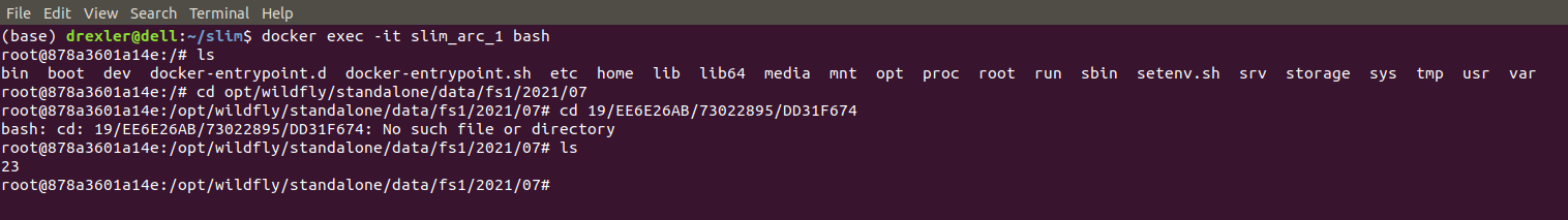 HTTPError: 500 Server Error: Internal Server Error · Issue #43 · ImagingDataCommons/slim · GitHub