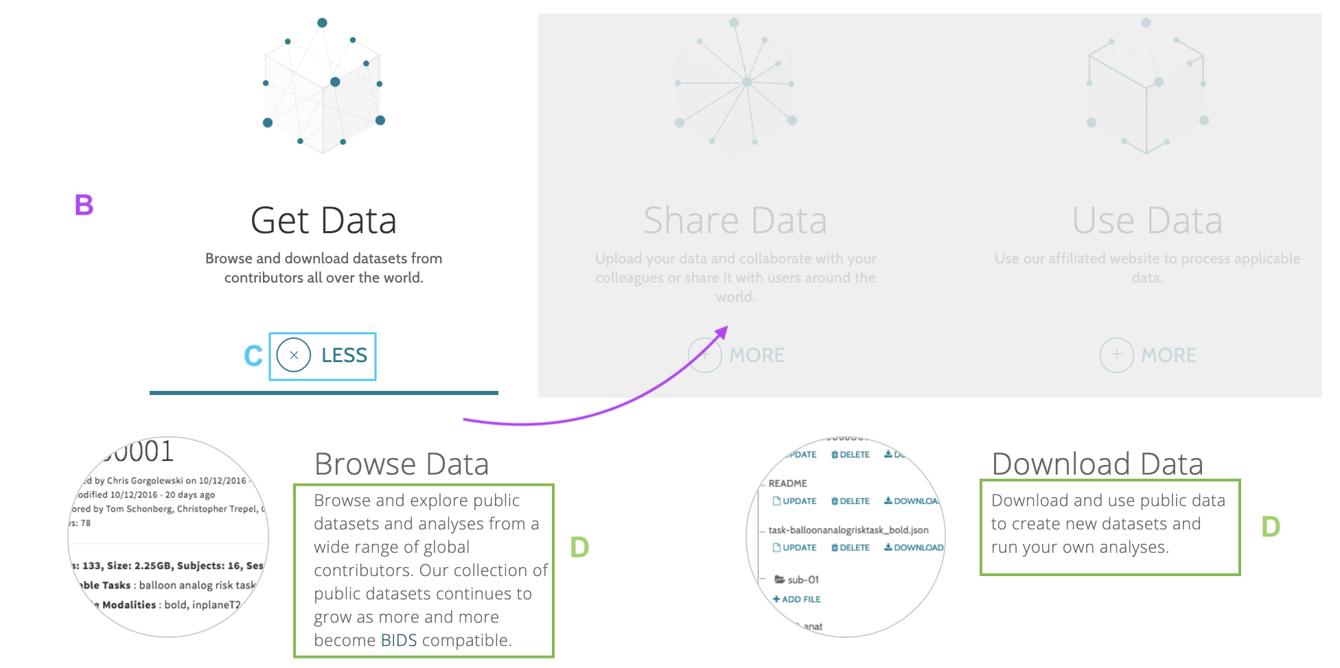 Update homepage layout · Issue #1249 · OpenNeuroOrg/openneuro · GitHub