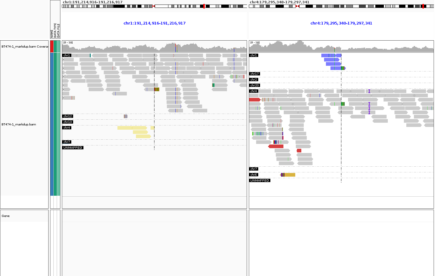 Regression: Missing/black chromosome name in batch mode using MATE_CHROMOSOME grouping since 2. ...