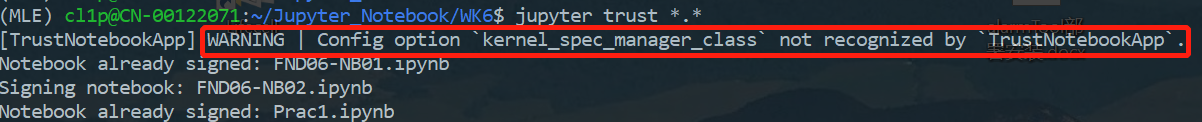 `kernel_spec_manager_class` not recognized Issue · Issue #5855 ...