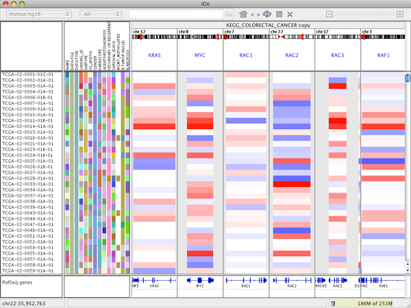 Gene list view leaves blank space in the middle · Issue #556 · igvteam/igv · GitHub
