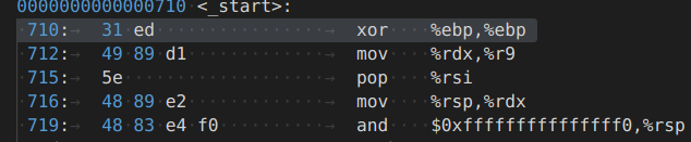 Question about the output binary · Issue #28 · GJDuck/e9patch · GitHub