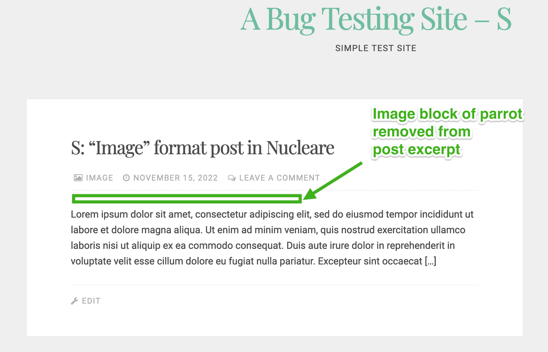 Nucleare Theme: Posts in Image Format do not display images in excerpt · Issue #6728 ...