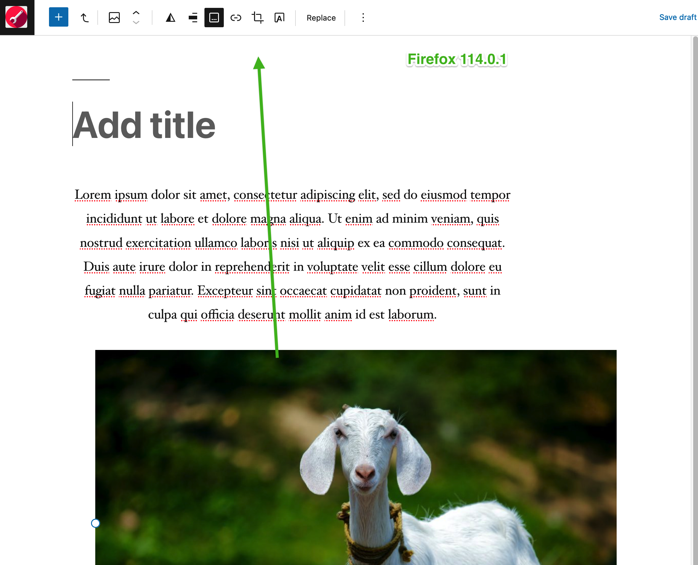 Top Toolbar editor rendered invisible in Safari when Image block added ...