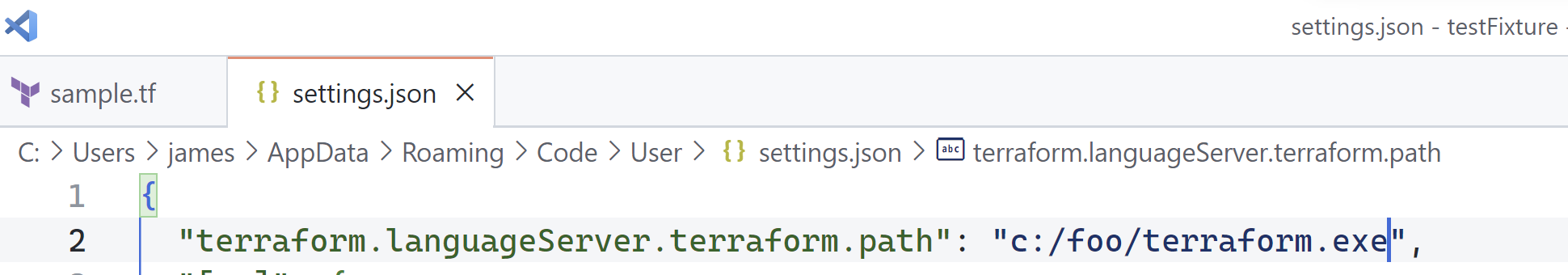 terraform.languageServer.terraform.path doesn't work · Issue #1212 · hashicorp/vscode-terraform ...