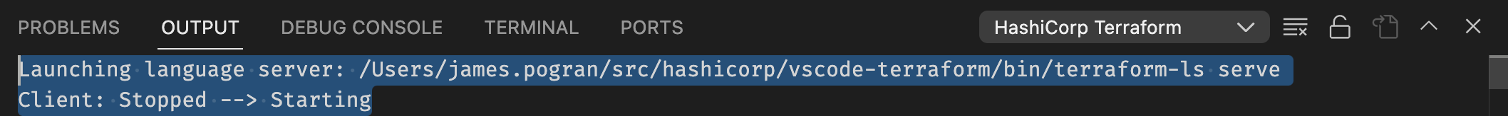 Terrible Format On Save Performance · Issue 1632 · Hashicorp Vscode Terraform · Github