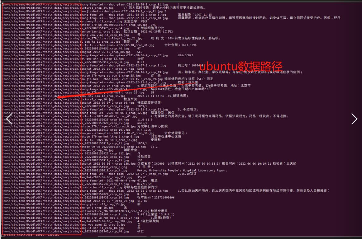 SystemError: (Fatal) DataLoader process (pid 10222) exited is killed by signal: Killed. (at ...