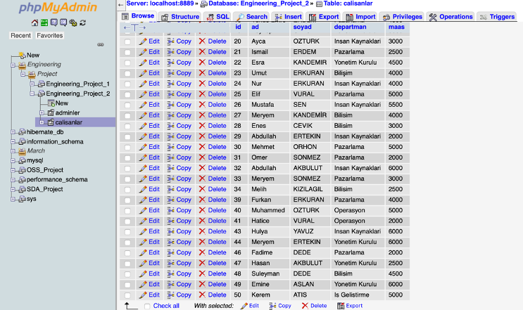 GitHub - kaankizilagil/Employees_Project: Desktop Application(Swing ...