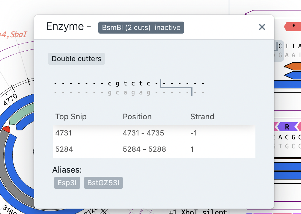 How to add new restriction enzymes to OVE? I can't find Esp3I. · Issue ...