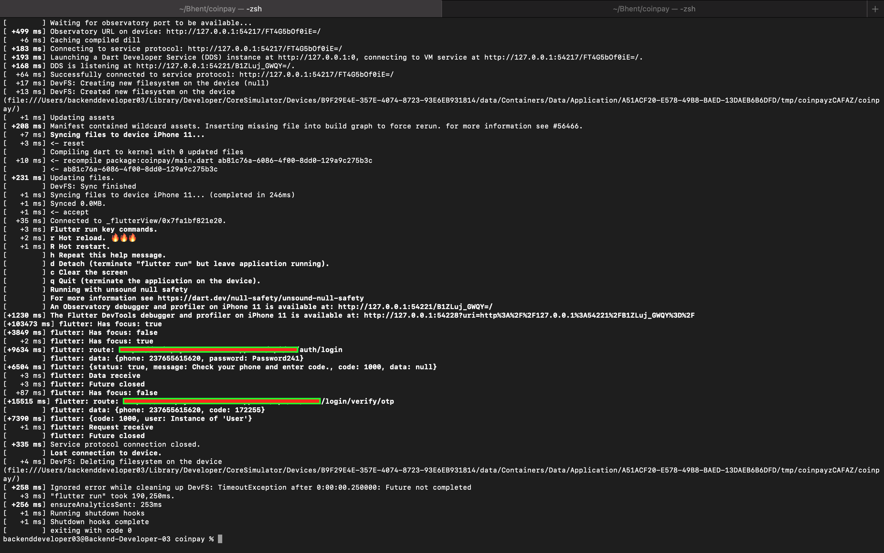 Error : Ignored error while cleaning up DevFS: TimeoutException after 0:00:00.250000: Future not ...