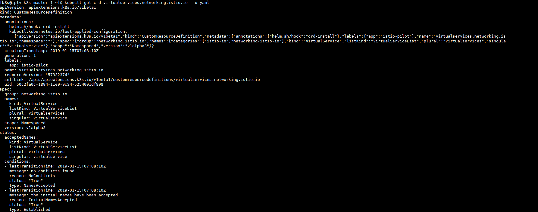 Create Customresourcedefinition Error Operation Cannot Be Fulfilled On
