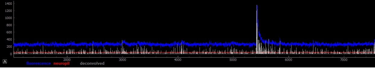 Detect peaks without deconvolving · Issue #202 · MouseLand/suite2p · GitHub