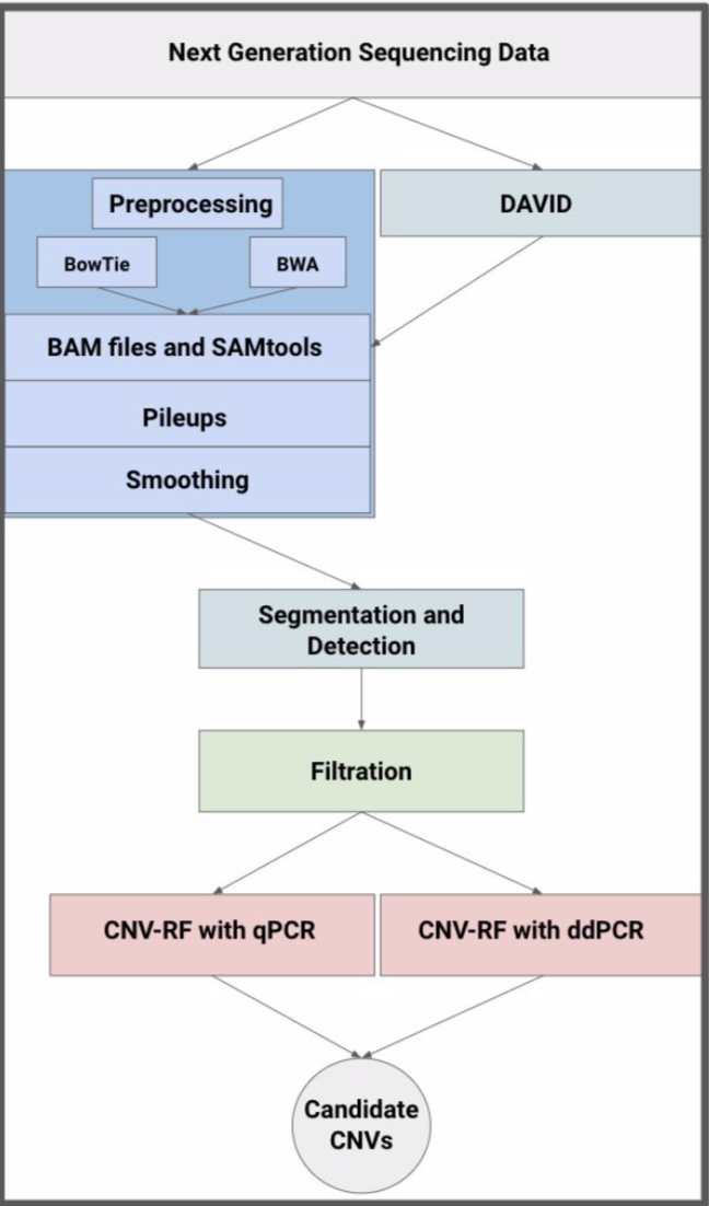 GitHub Vidhurva Random Forest Copy Number Variation Bioinformatics