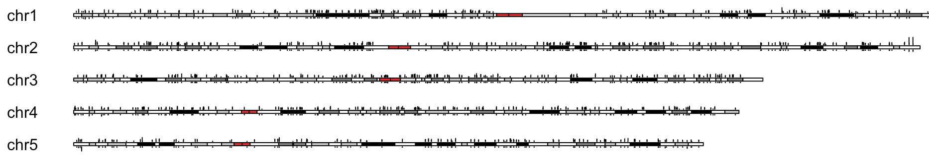 using bedtools coverage with karyoploteR · Issue #16 · bernatgel ...