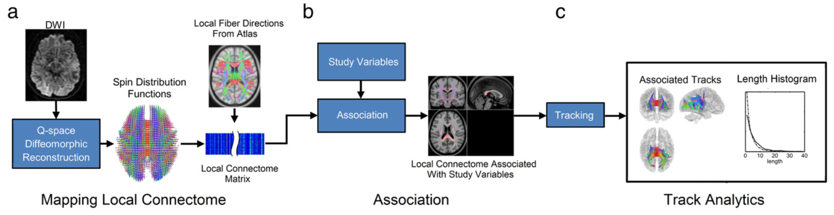 Correlational Tractography | Practicum