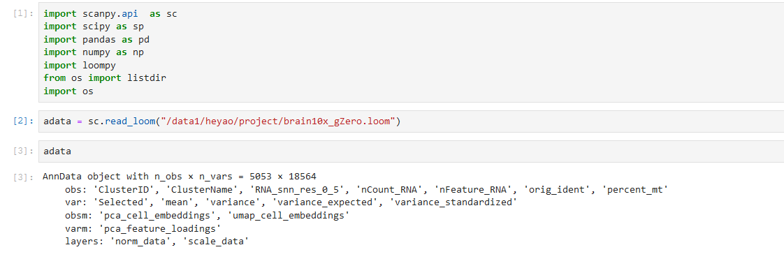 Cannot read loom file created in Seurat3 (column index exceeds matrix dimensions) · Issue #598 ...