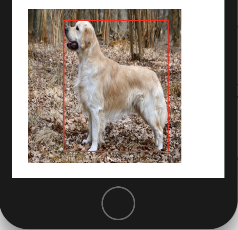 Ssd Object Detection Mappings · Issue 107 · Tf Coremltf Coreml · Github 6297