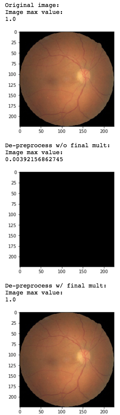 Best practices for data preprocessing prior to adversarial image generation? · Issue #316 ...