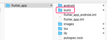 Why Flutter project can't find build folder, but the build folder assits in my PC Folder ...