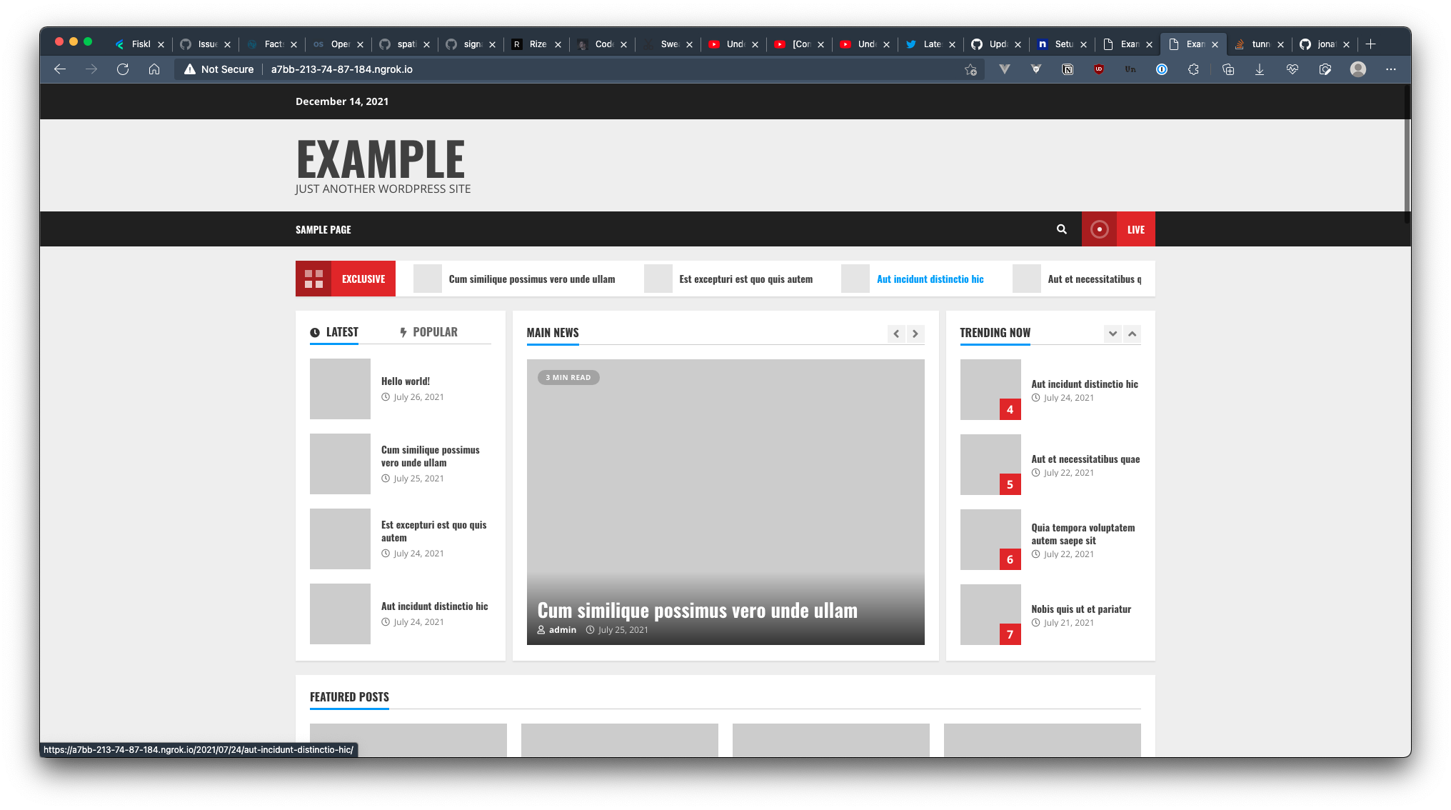 Updating paths on WordPress output through Valet Share. · Issue #1041 · laravel/valet · GitHub