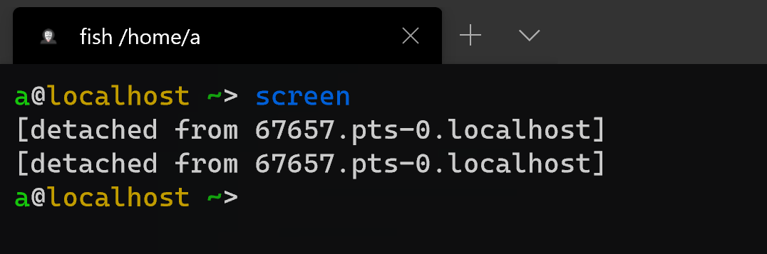 Screen text is not invalidated on "screen" detached · Issue #5646 · microsoft/terminal · GitHub