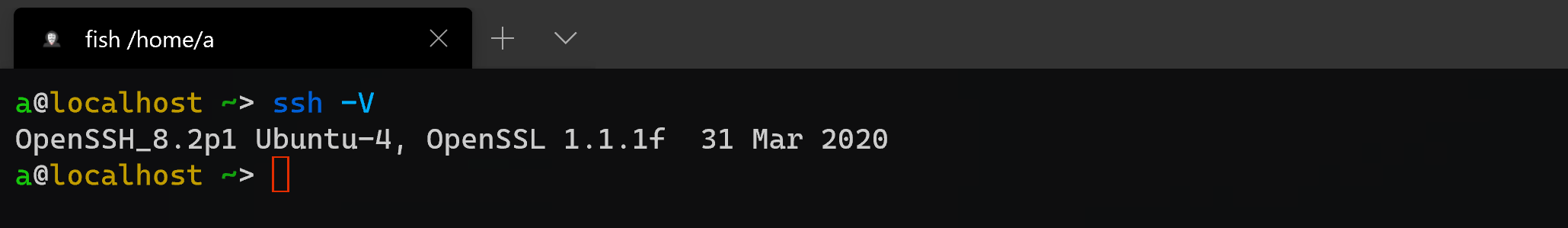Screen text is not invalidated on "screen" detached · Issue #5646 · microsoft/terminal · GitHub