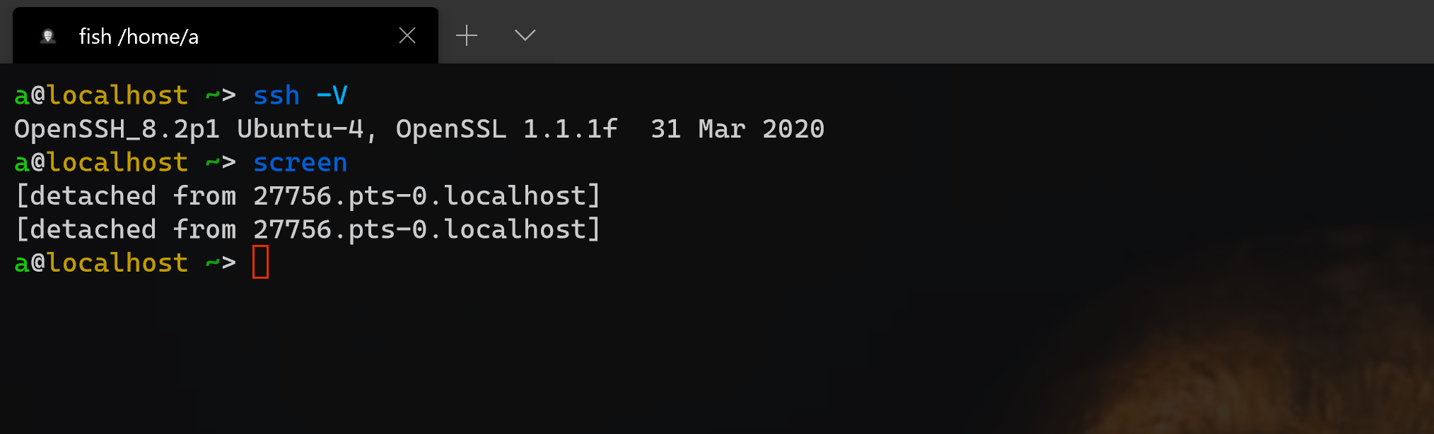 Screen text is not invalidated on "screen" detached · Issue #5646 · microsoft/terminal · GitHub