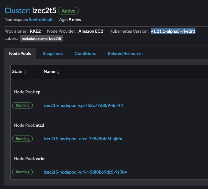 RKE2 EC2 multi-node diferent roles on node/nodepool provisioning is stalled · Issue #32779 ...