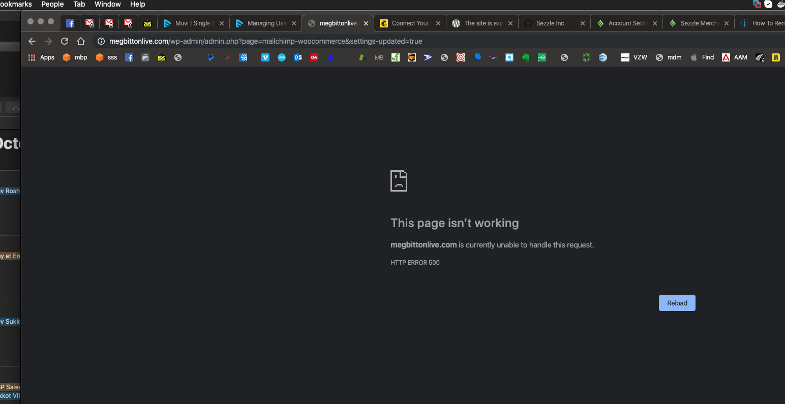 Plugins Throws Errors Into Woocommerce Fatal Errors Log · Issue 502 · Mailchimp Mc Woocommerce