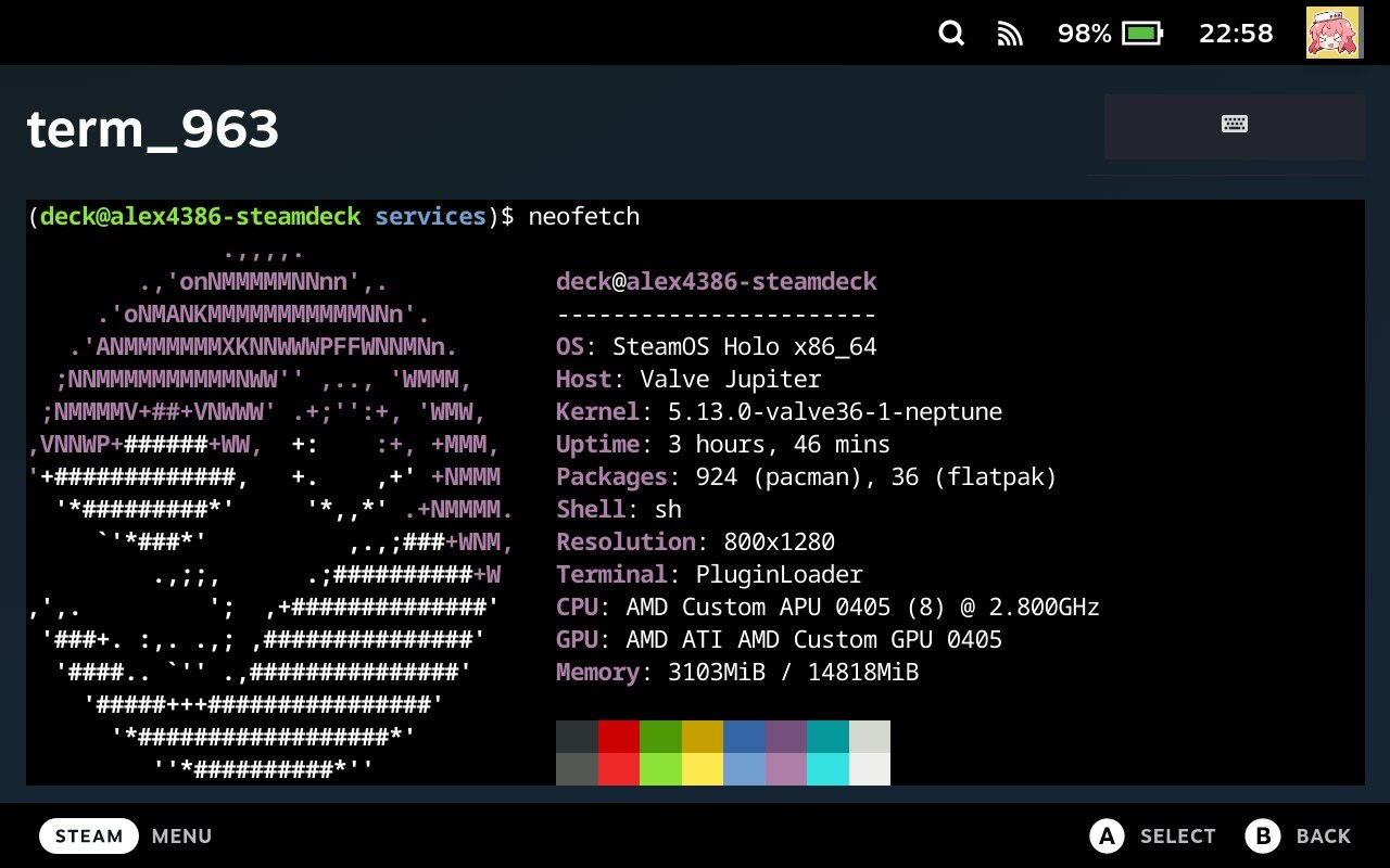 GitHub - Alex4386/decky-terminal: Turn your SteamDeck to your portable Linux battlestation ...