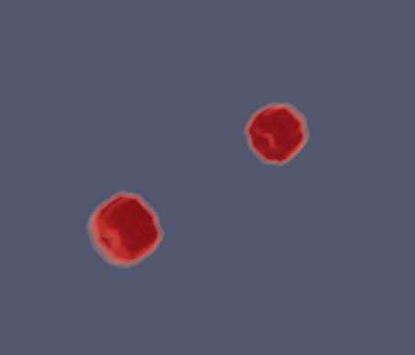 GitHub - Ceyron/StableFluids.jl: 2D Stable Fluids & 3D Stable Fluids ...