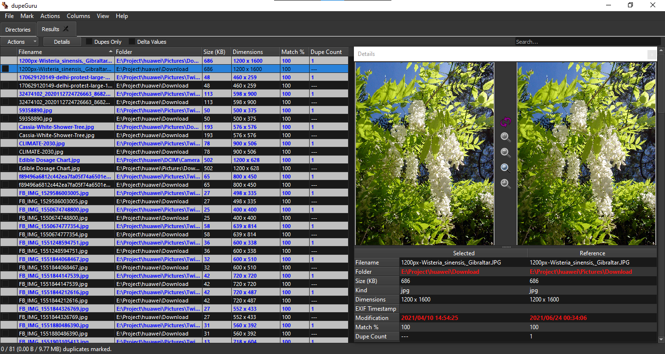 Integrate Details window as column · Issue #1011 · arsenetar/dupeguru · GitHub