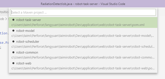 Cant Not Select Maven Project · Issue 429 · Microsoft Vscode Maven · Github