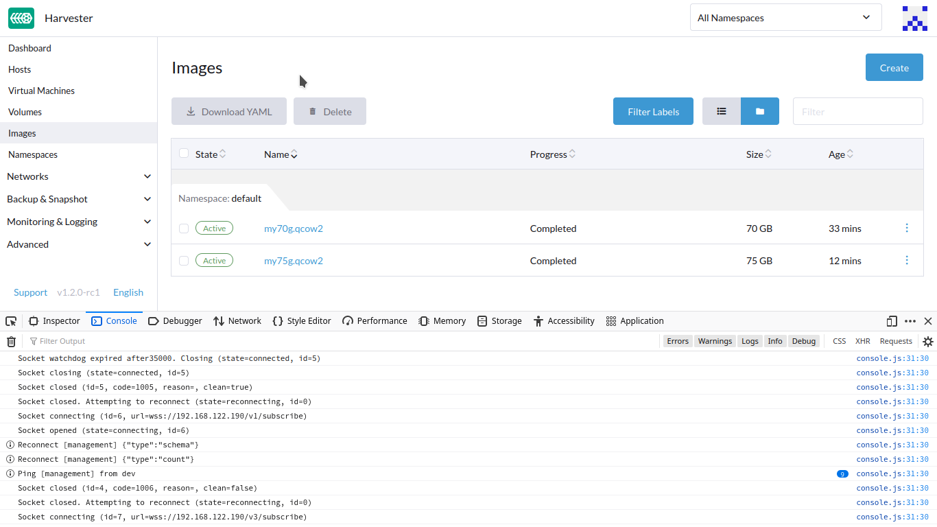 [BUG] Uploading qcow2 image from local file fails with Context Canceled · Issue #3450 ...