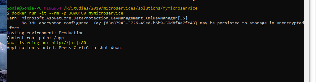 Unable To Access Microservice Hosted Using Docker Image · Issue 2715 · Dotnetcore · Github 