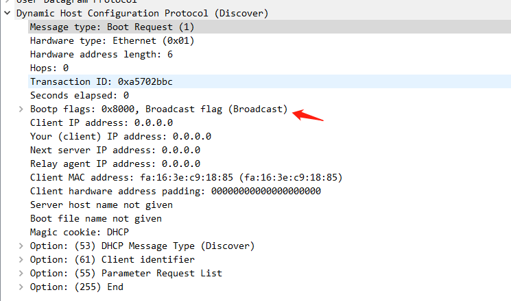 ipvlan plugin is passing container device name rather than master interface name when ipam type ...