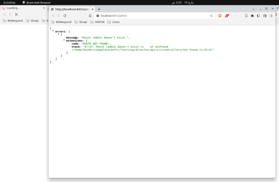 Unable To Run Directus Locally · Issue 17786 · Directus Directus · Github