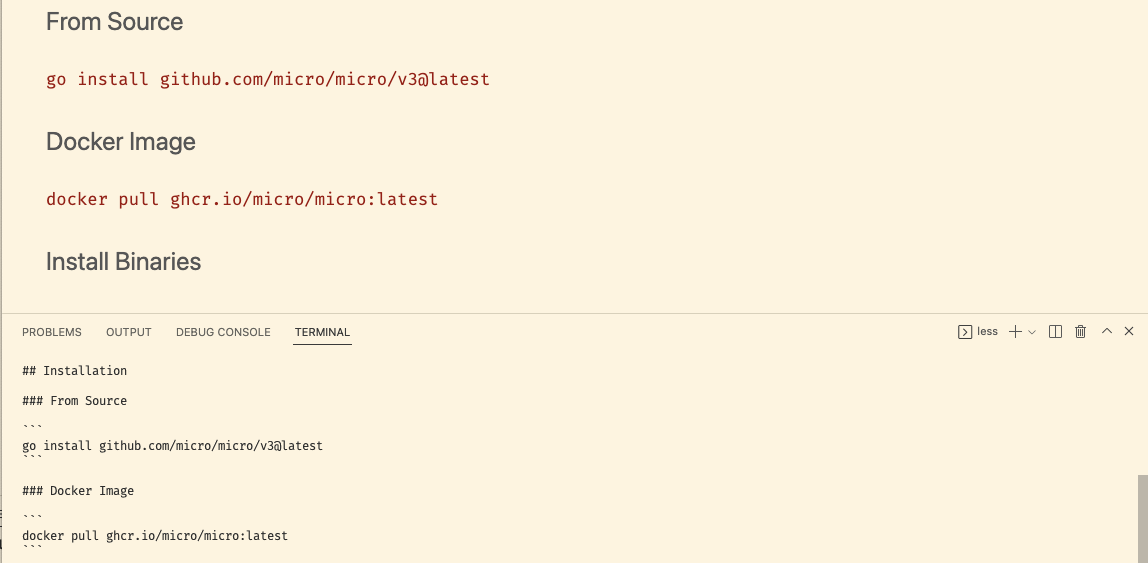 Issue With Guesslang · Issue 64 · Statefulvscode Runme · Github