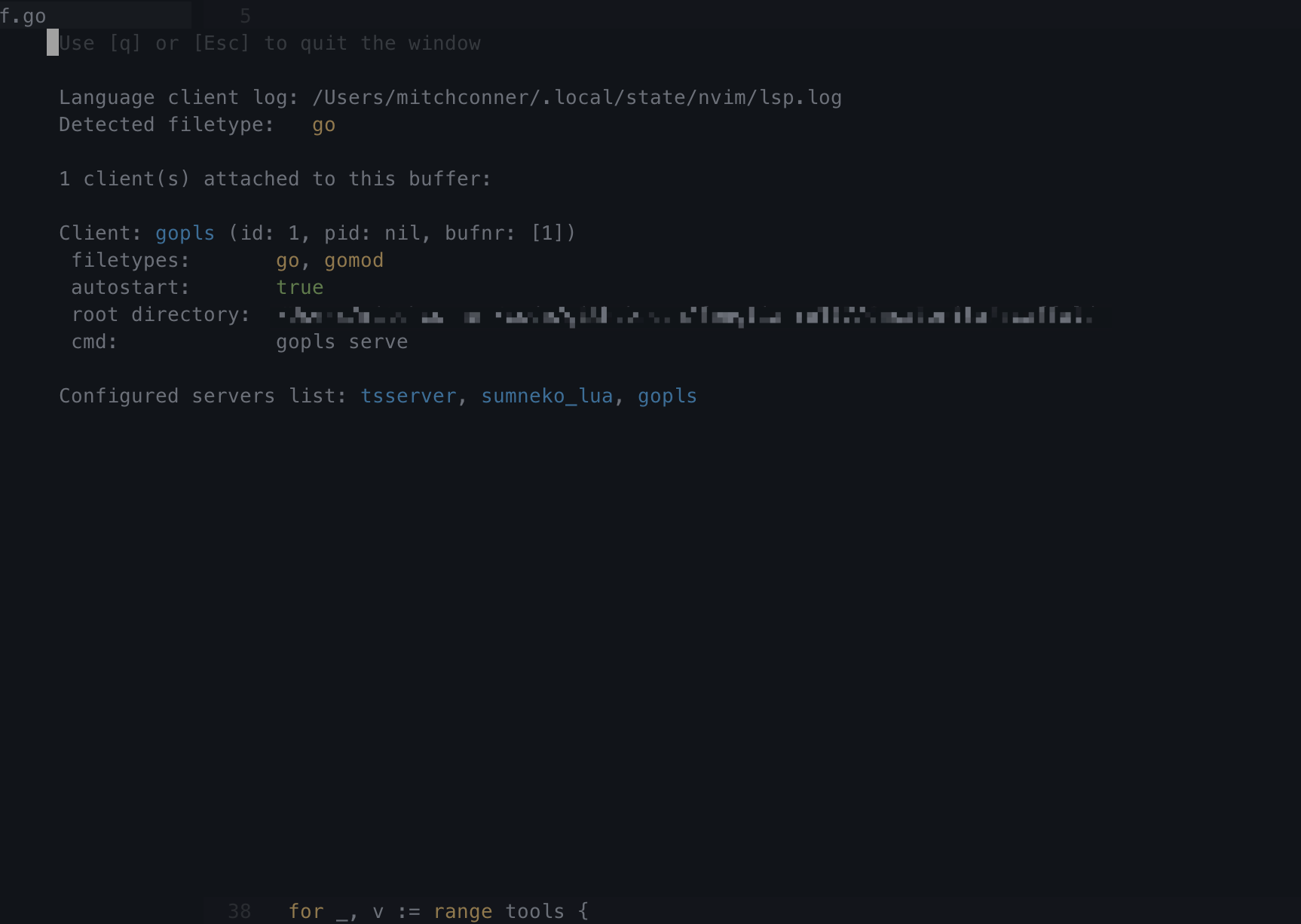 Golang Lsp Format Not Working · Issue 1646 · Nvchadnvchad · Github