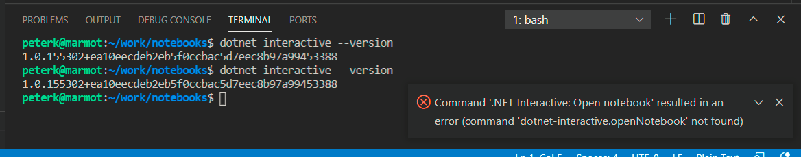 does not work over remote ssh · Issue #858 · dotnet/interactive · GitHub