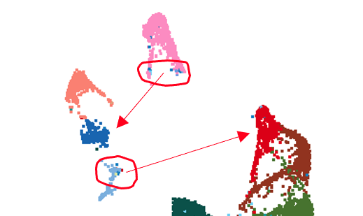 Louvain clustering performs bad (?) when visualizing with UMAP · Issue ...