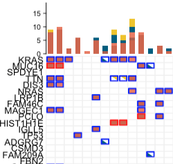 anno_oncoprint_barplot, proportion · Issue #1105 · jokergoo ...