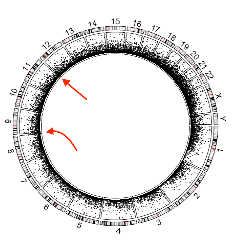Points are out of plotting region in sector · Issue #101 · jokergoo/circlize · GitHub