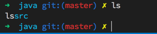 Integrated Terminal with Zsh on macOS displays every command before it ...