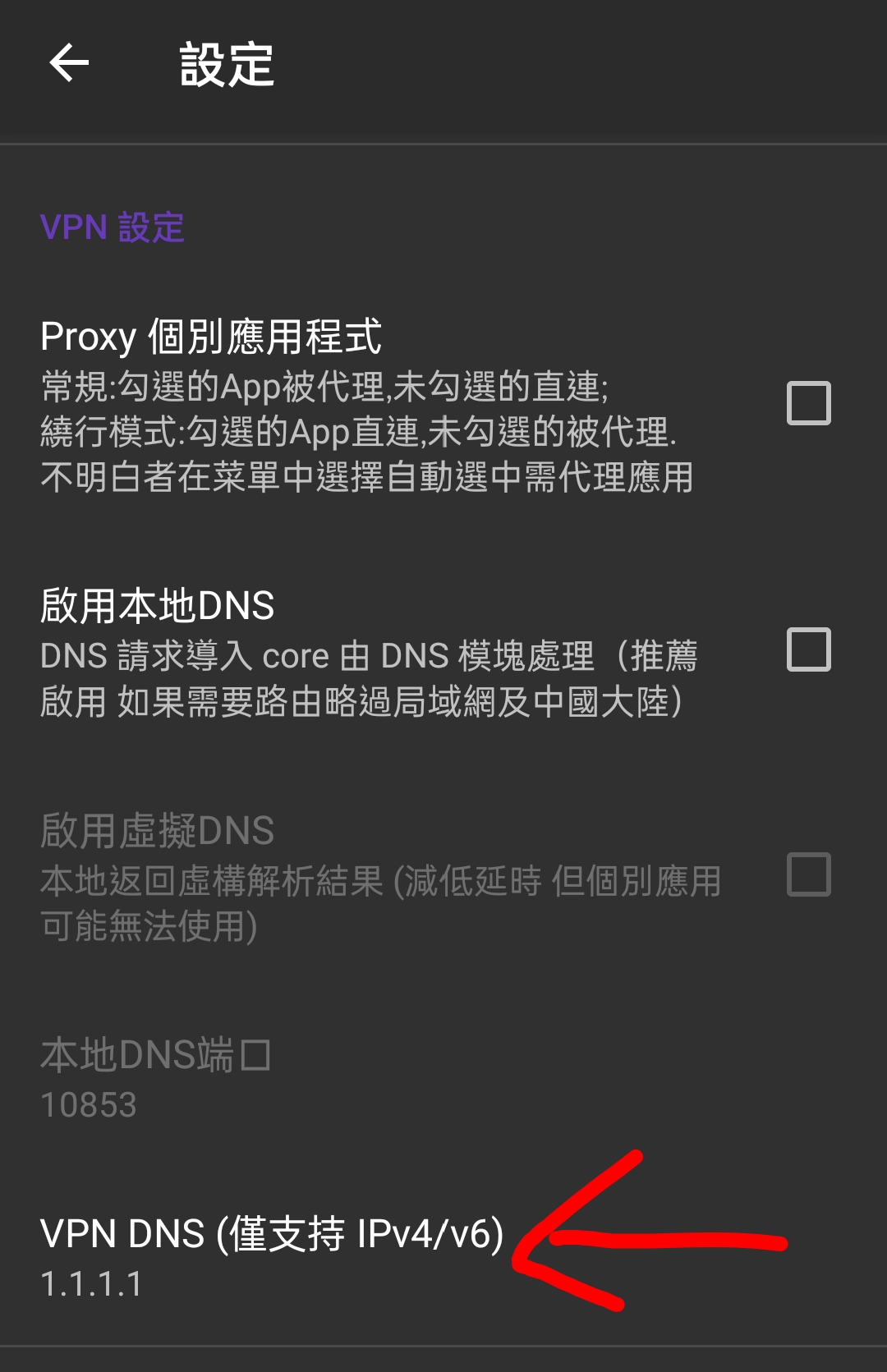 Android11的DNS解析設定 · Issue #1149 · 2dust/v2rayNG · GitHub
