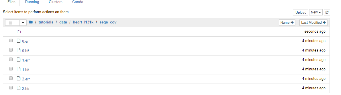 After running `perprocess.ipynb`, there is no "tfr file and h5 file" generated, only some empty ...