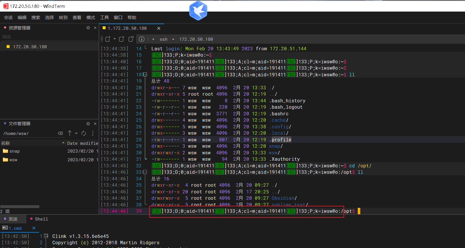 刚用,连了一个服务器,控制台输出莫名的字符,这个怎么改? · Issue #1491 · kingToolbox/WindTerm · GitHub